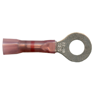 TERMINALS | State Wire